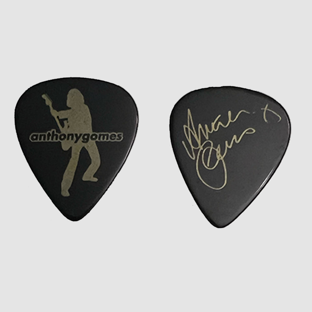 Unity Tour 2002 Anthony Gomes Guitar Pick - Only 2 Left! – Anthony ...